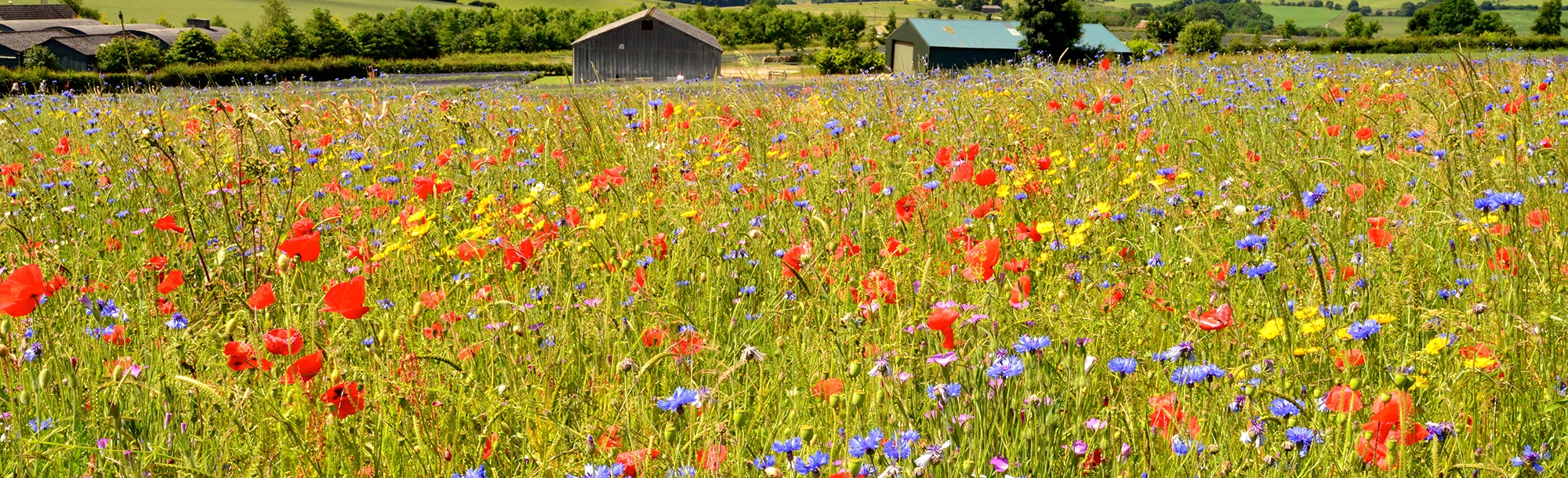 IAGRM - The Institute of Agricultural Management
